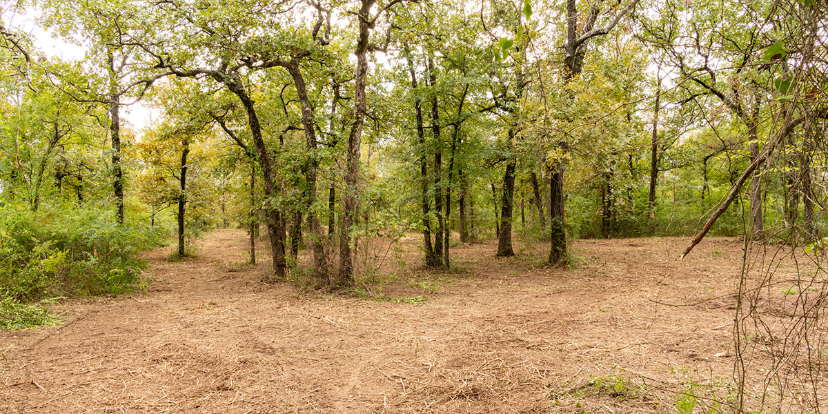 Land Reclamation and Forestry Mulching ~ Niblett Land Management